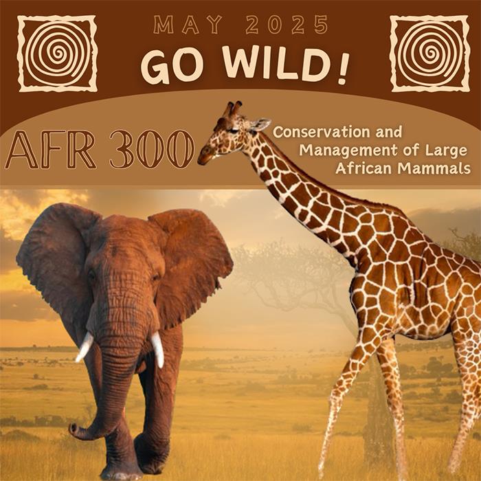 Study Abroad in Africa - Vol. 28 No. 32 - May 6, 2024 | Truman Today ...